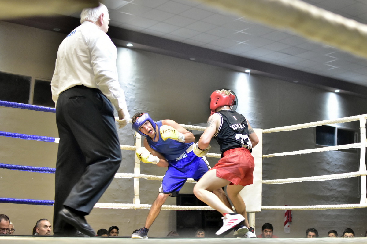 Festival de Boxeo